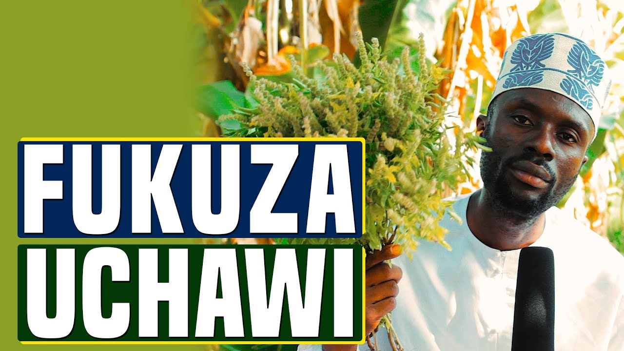 SIRI YA KUONDOA UCHAWI NDANI YA NYUMBA NA KATIKA MWILI KWA KUTUMIA ...