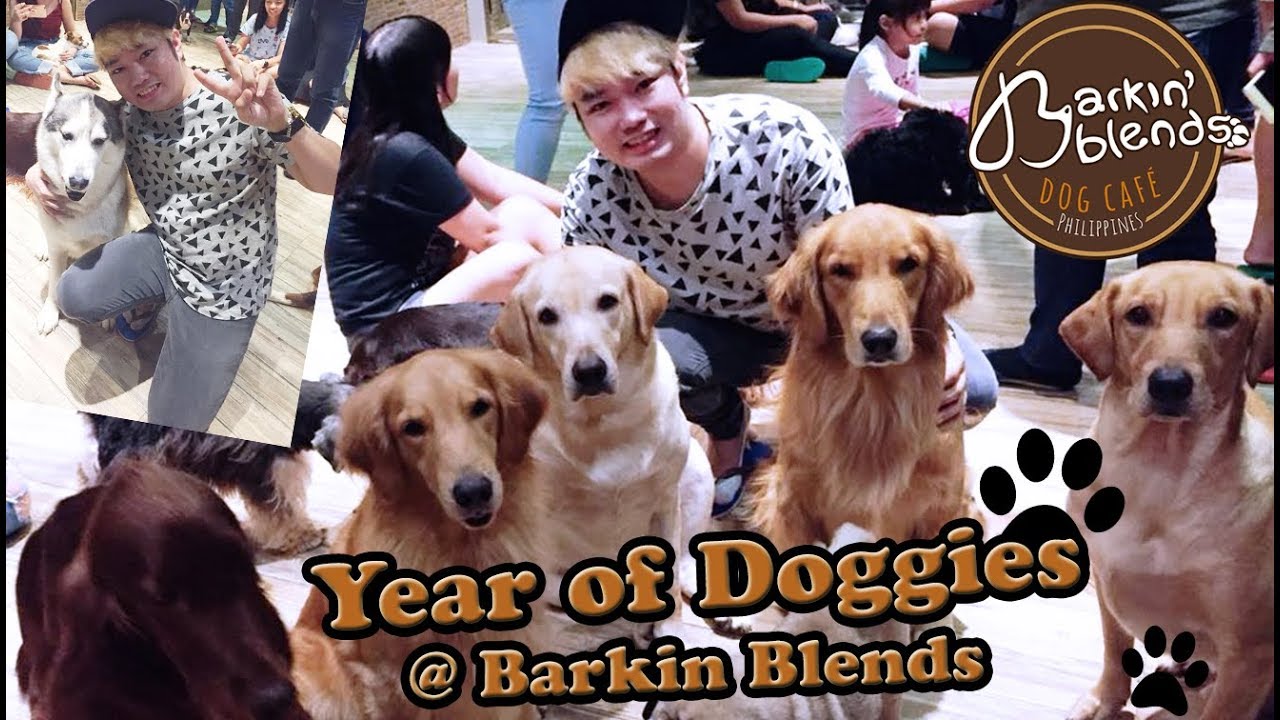 Year of Doggies at Barkin Blends | v#12 - YouTube