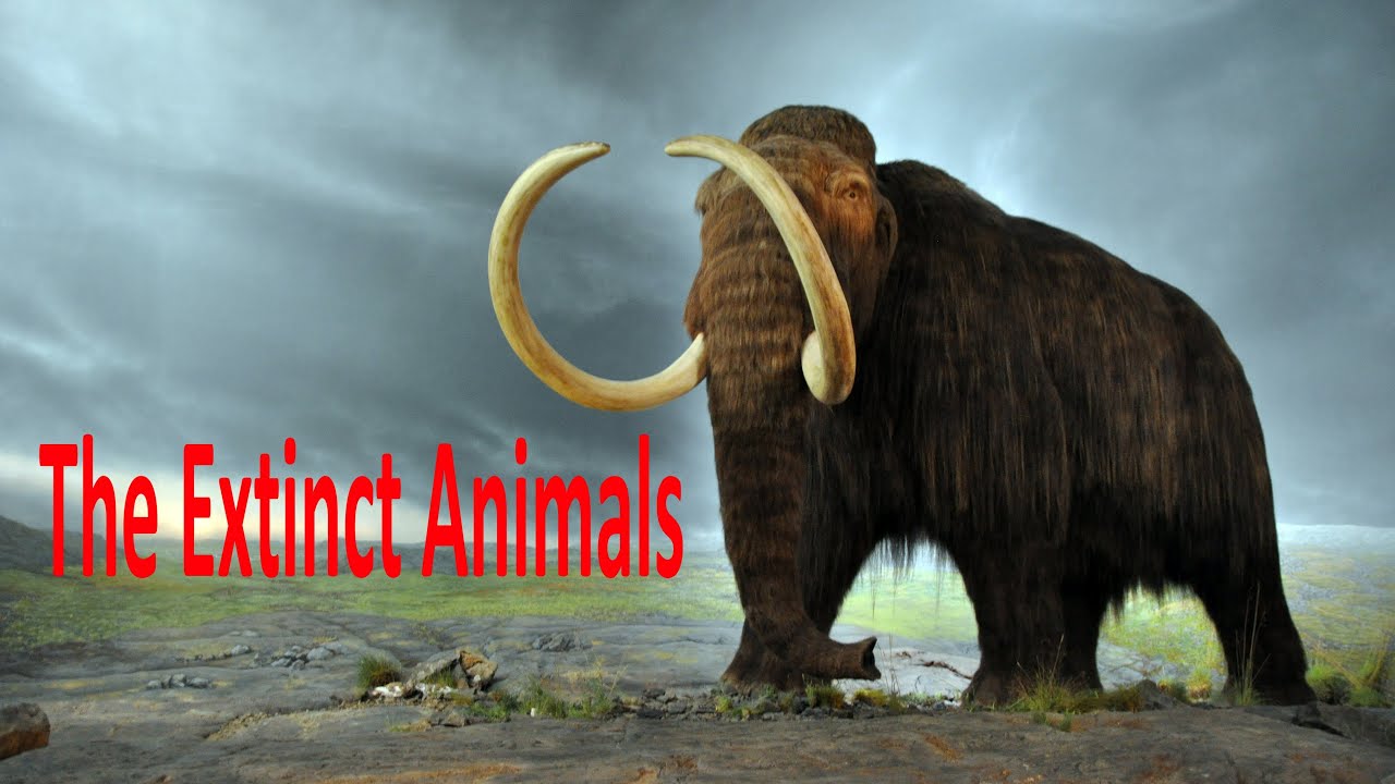 Top 10 Extinct Animals Of Planet Earth | The extinct animals on earth ...