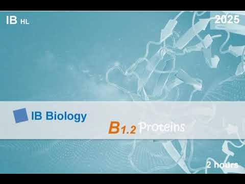 IB Bio 2025 B1.2 Protein HL Note #ib #ibbiology #biology #protein - YouTube