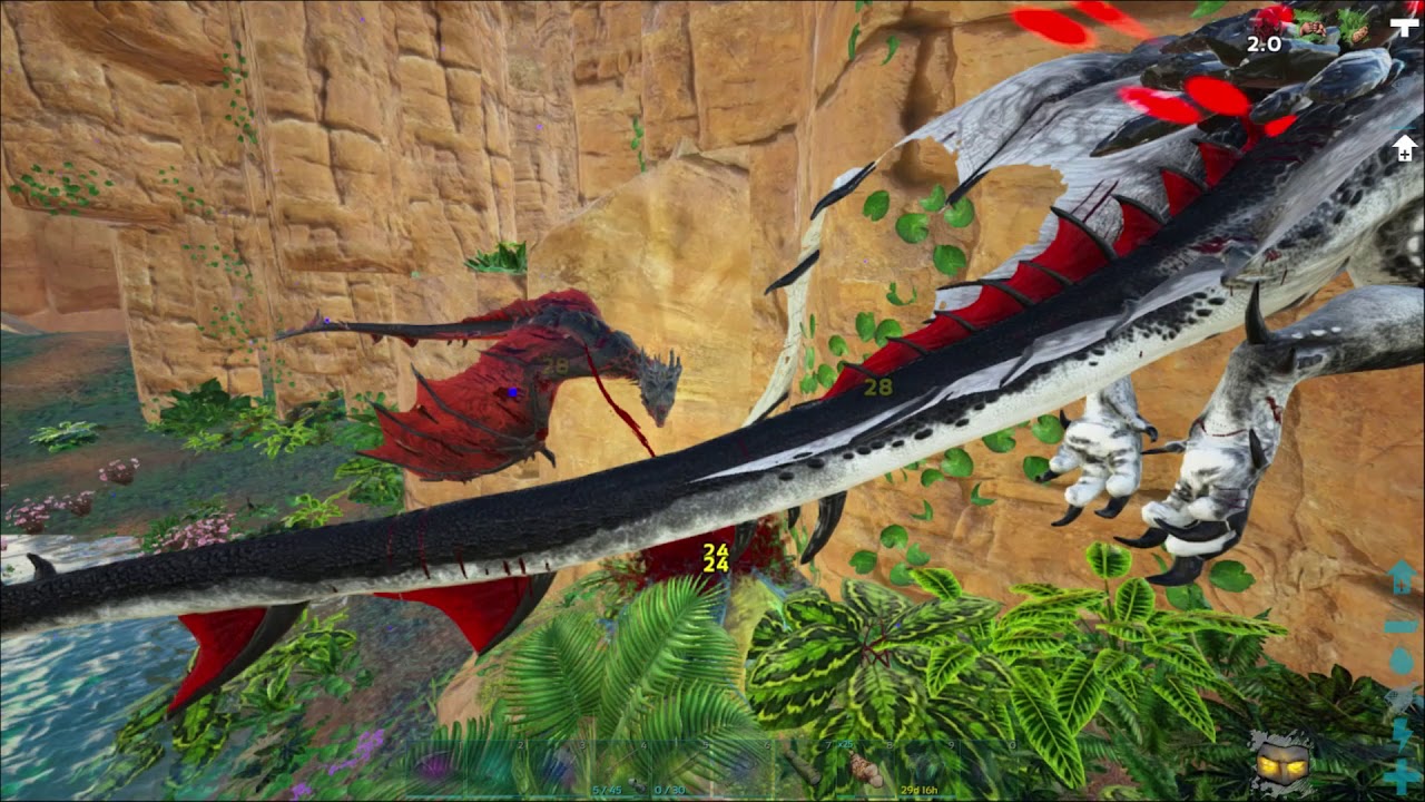 Alpha Wyvern Hunting Crystal Isles Ark - YouTube