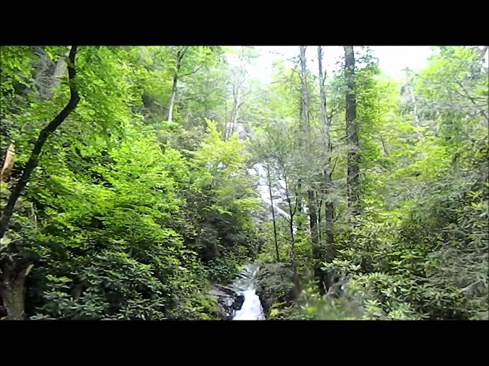 Helen Georgia "Wild Trout" - YouTube