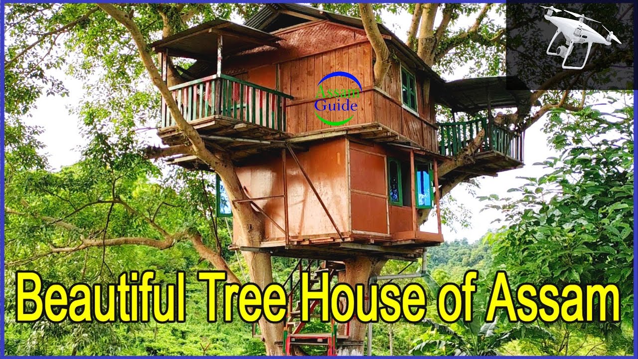 Tree House- A beautiful Resort of Assam - by Assam Guide - YouTube