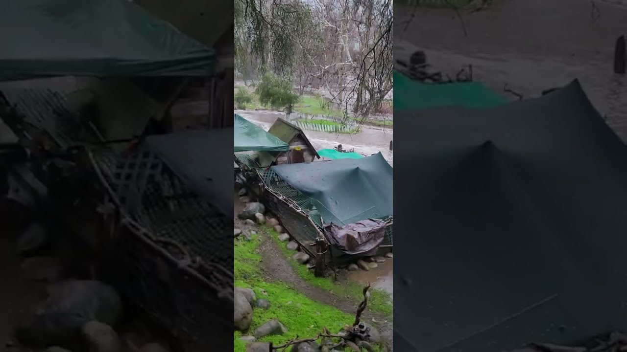 We are officially: Noah's Ark/Pixie's Place @ OrangeRay - YouTube