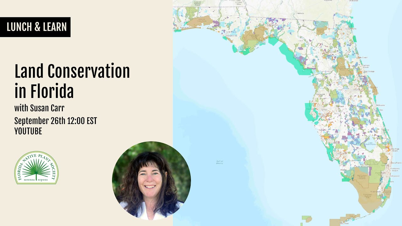 L&L: Land Conservation in Florida with Susan Carr - YouTube