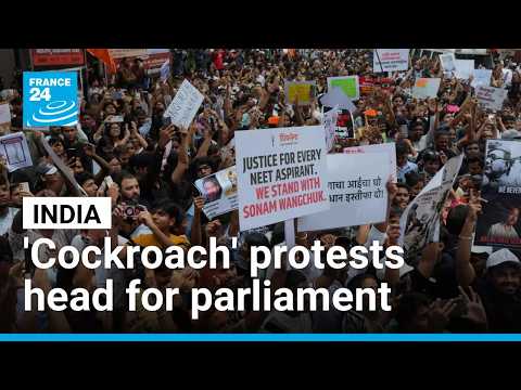 India's Cockroach party leads thousands of youth in protest to parliament • FRANCE 24 English