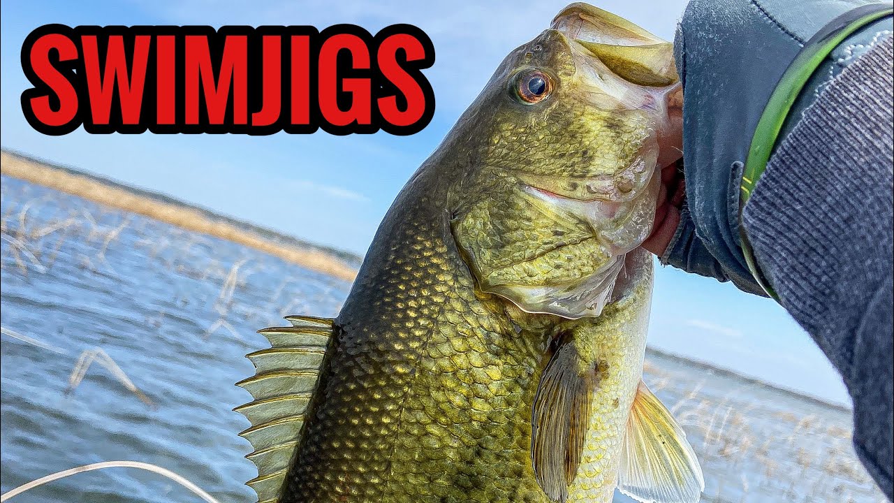 Fishing Swim Jigs for CLEAR WATER Bass! - YouTube