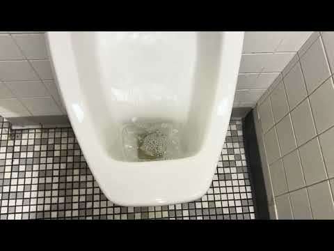 7,425. Big Lots Men’s Restroom - YouTube
