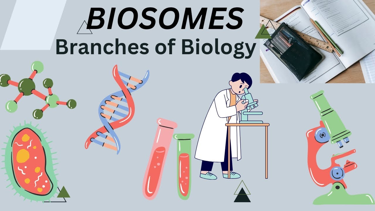 Branches of Biology (Field of Biology) - YouTube