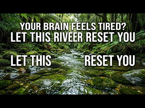 The River That Makes Stress Disappear | Relaxing Forest Water Sounds For Deep Sleep ASMR