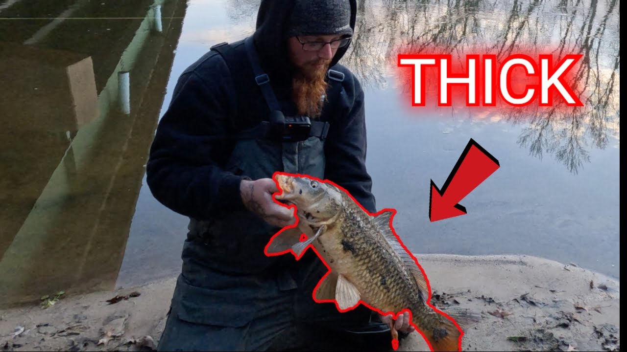 These CHUNKY Fish TOOK OVER THE RIVER! - YouTube