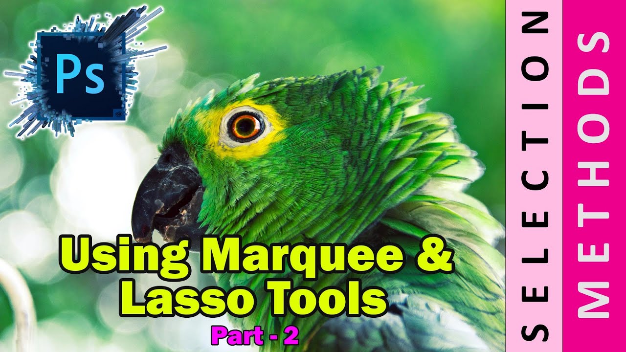 Photoshop How To Select Using Marquee Lasso Tools Part2 Photoshop For Beginners In Sinhala photoshop-how-to-select-using-marquee-lasso-tools-part2-photoshop-for-beginners-in-sinhala