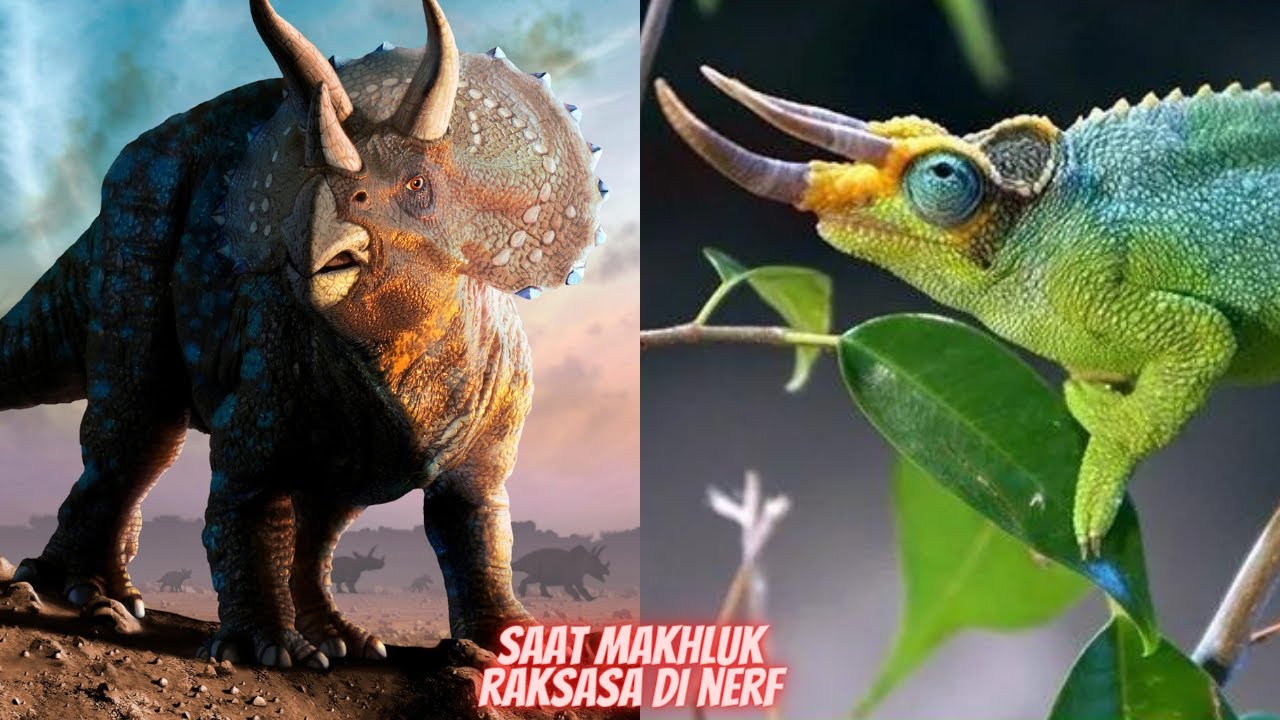 Dinosaurus Asli di Dunia Nyata Bagaimana Rasanya Memelihara Dinosaurus ...