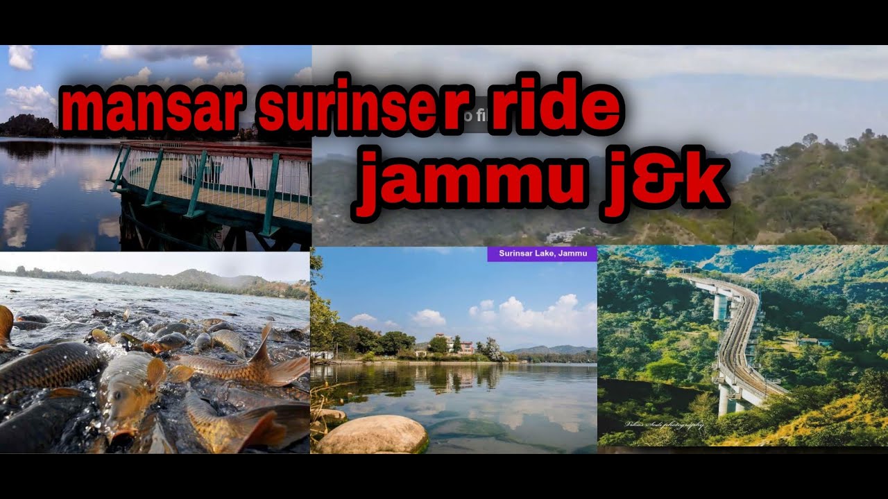 Trip to wild life sanctuary [Mansar Surinser wild life sanctuary] - YouTube