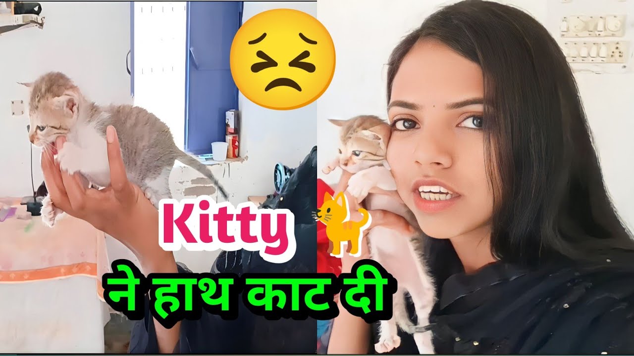 Kitty 🐈 ने हाथ काट दी मेरा 😣 || Vlog Video || @aradhyakibehane05 - YouTube