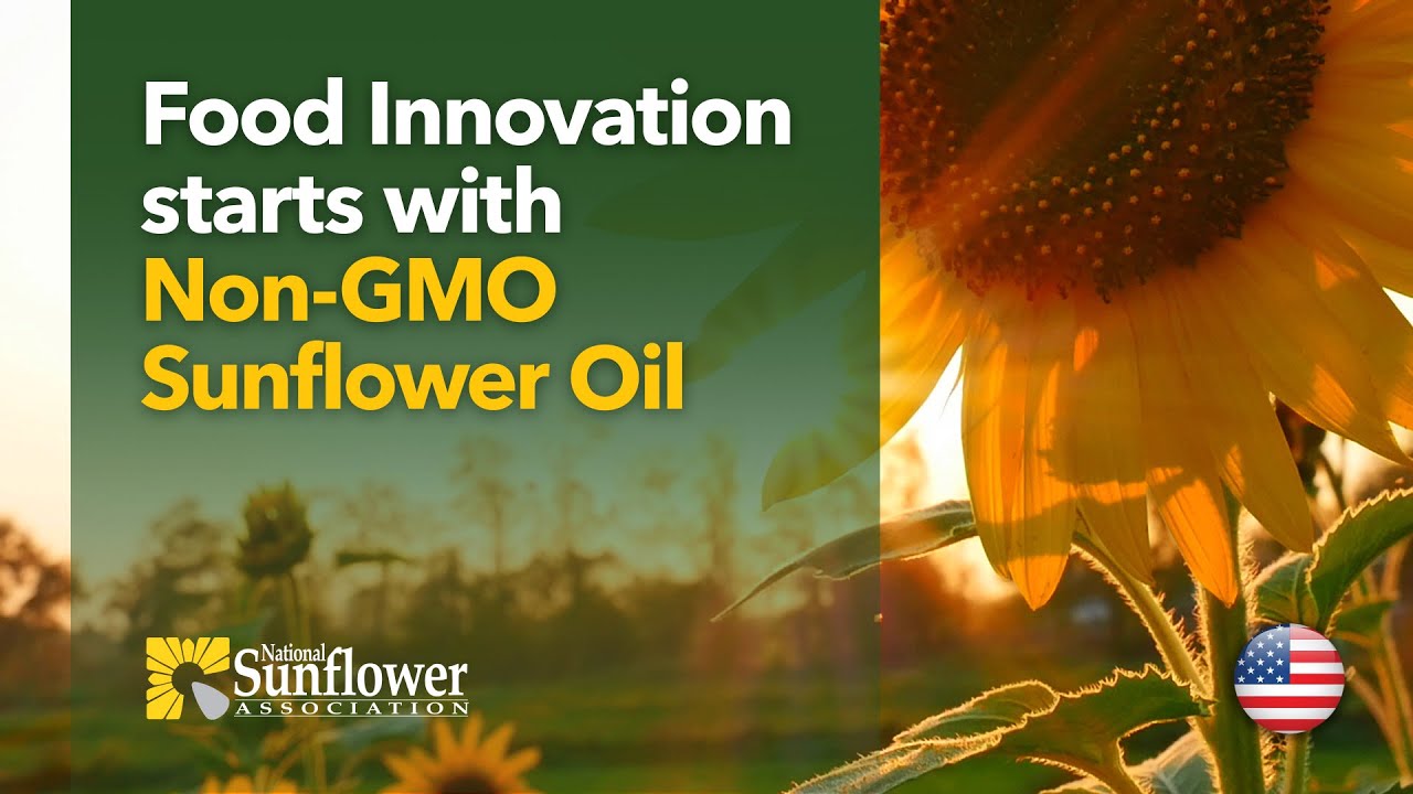 USA Food Innovation starts with Non-GMO Sunflower Oil - YouTube