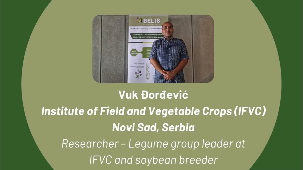 BELIS Annual Meeting 2025 interviews: Vuk Dordevic, IFVC (Serbia) - YouTube