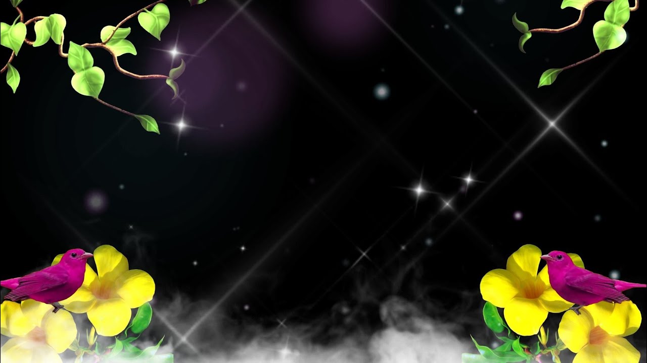 Free Background Template Video / Template Video Background / Light ...