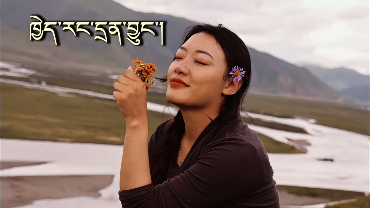 ཁམས་སྐྱིད་མཚོ#|| བོད་དུ་གྲགས་ཆེ་བའི་ཐད་གཏོང་གི་གཞས་མ། || kham kyi tso# བུ་མང་པོ་སྨྱོ་རུ་བཅུག་པ ...