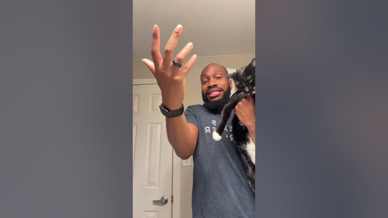 In case of emergency I’M NEVER LEAVING MY CATS - YouTube