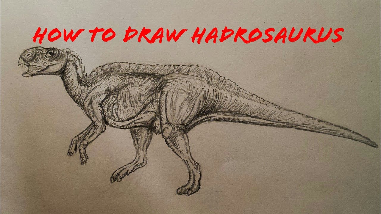 How to draw a Hadrosaurus part 1 - YouTube