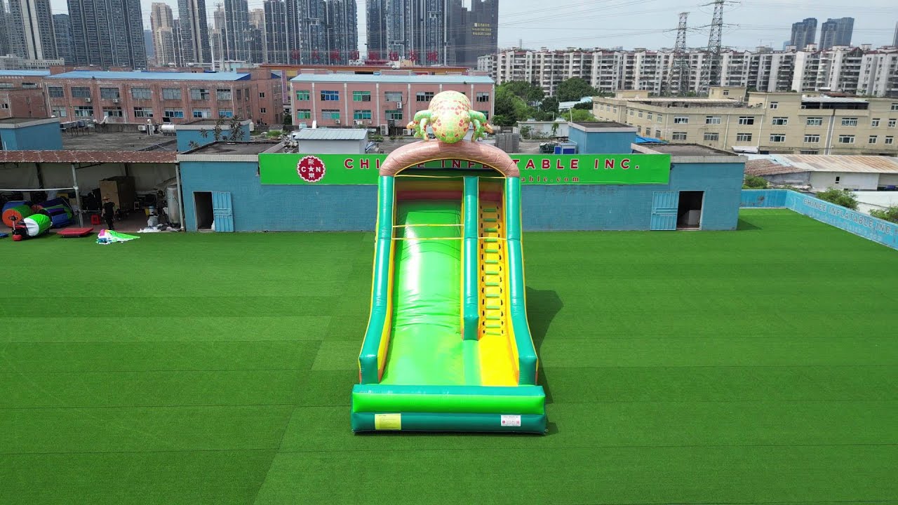 Slide into Fun with the Chameleon Themed Commercial Grade Inflatable ...