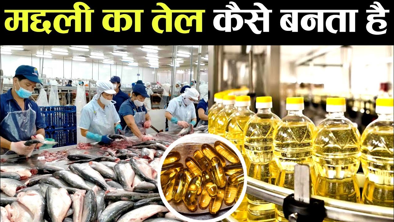 Factory में कैसे बनाते है मछली का तेल लाइव देखे। How Fish Oil Is Made ...