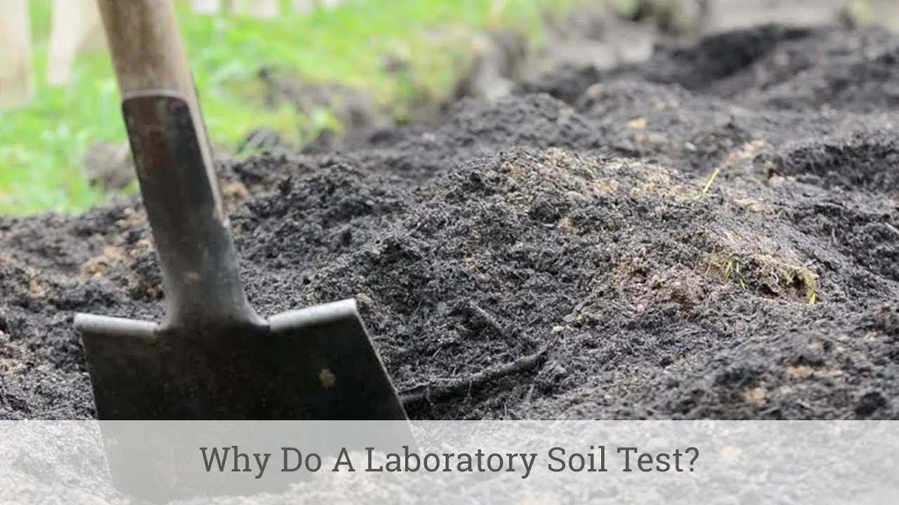 Why Do A Laboratory Soil Test? - YouTube