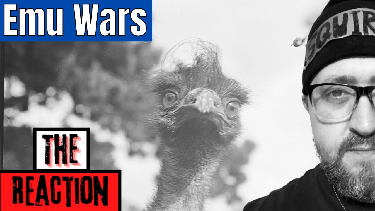 American Reacts To Emu War - OverSimplified (Mini-Wars #4) - YouTube