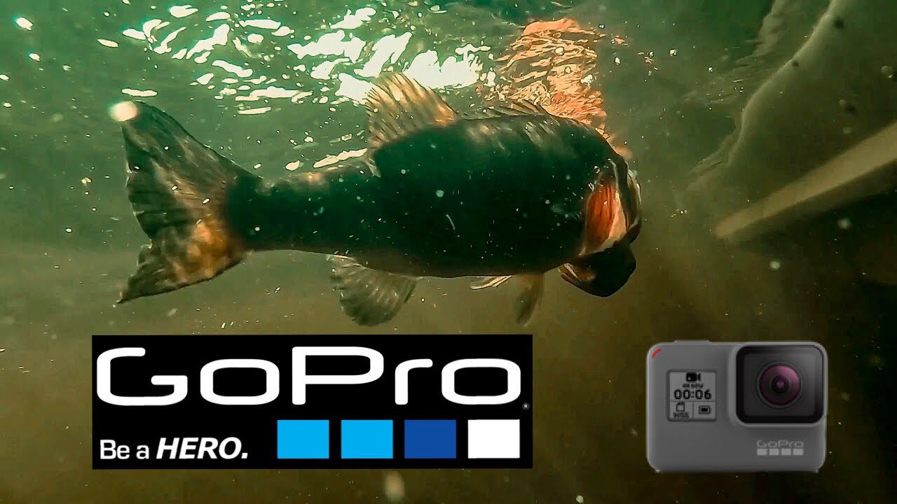 Underwater Bass fishing GoPro - YouTube
