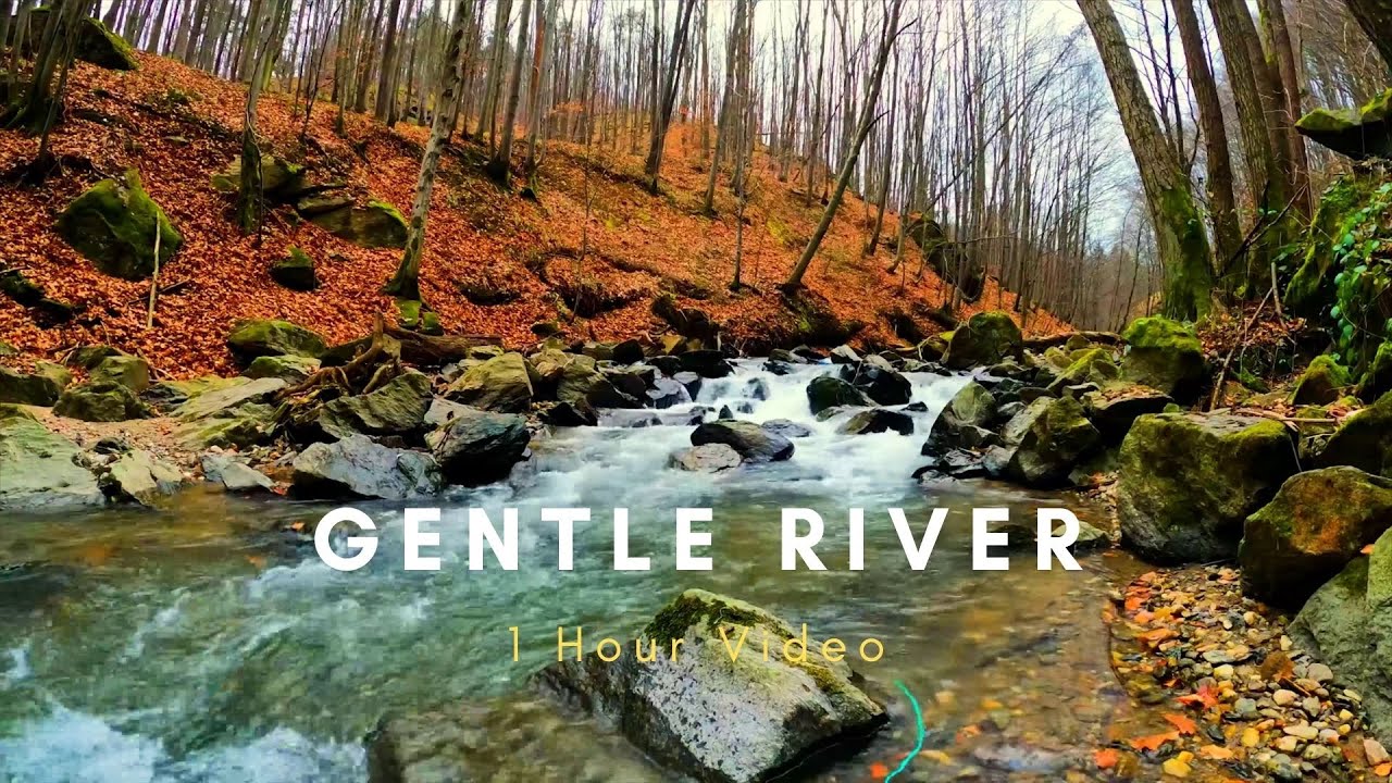 1 Hour of Gentle River Flow ASMR | Gentle Water Flow Sounds For Sleep ...