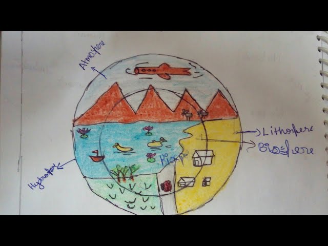 Ecosystem Drawing For Kids