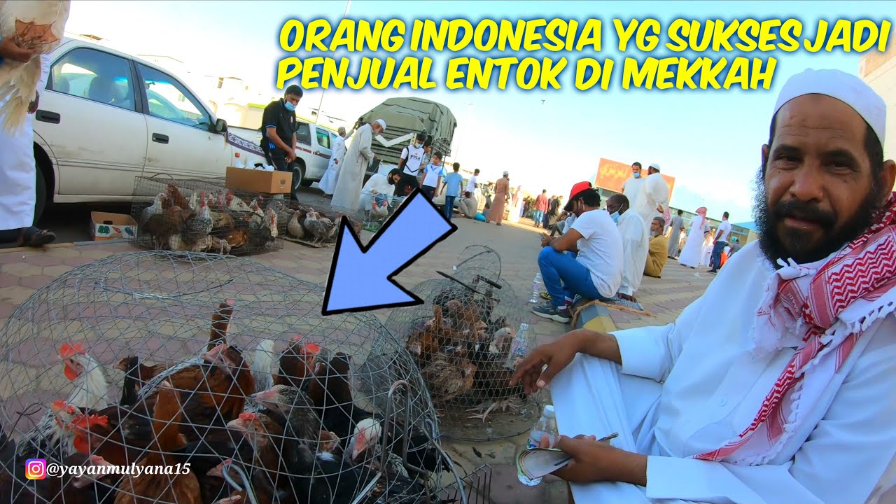 KISAH ORANG INDONESIA BERJUALAN ENTOK DAN ANGSA DI MEKKAH - YouTube