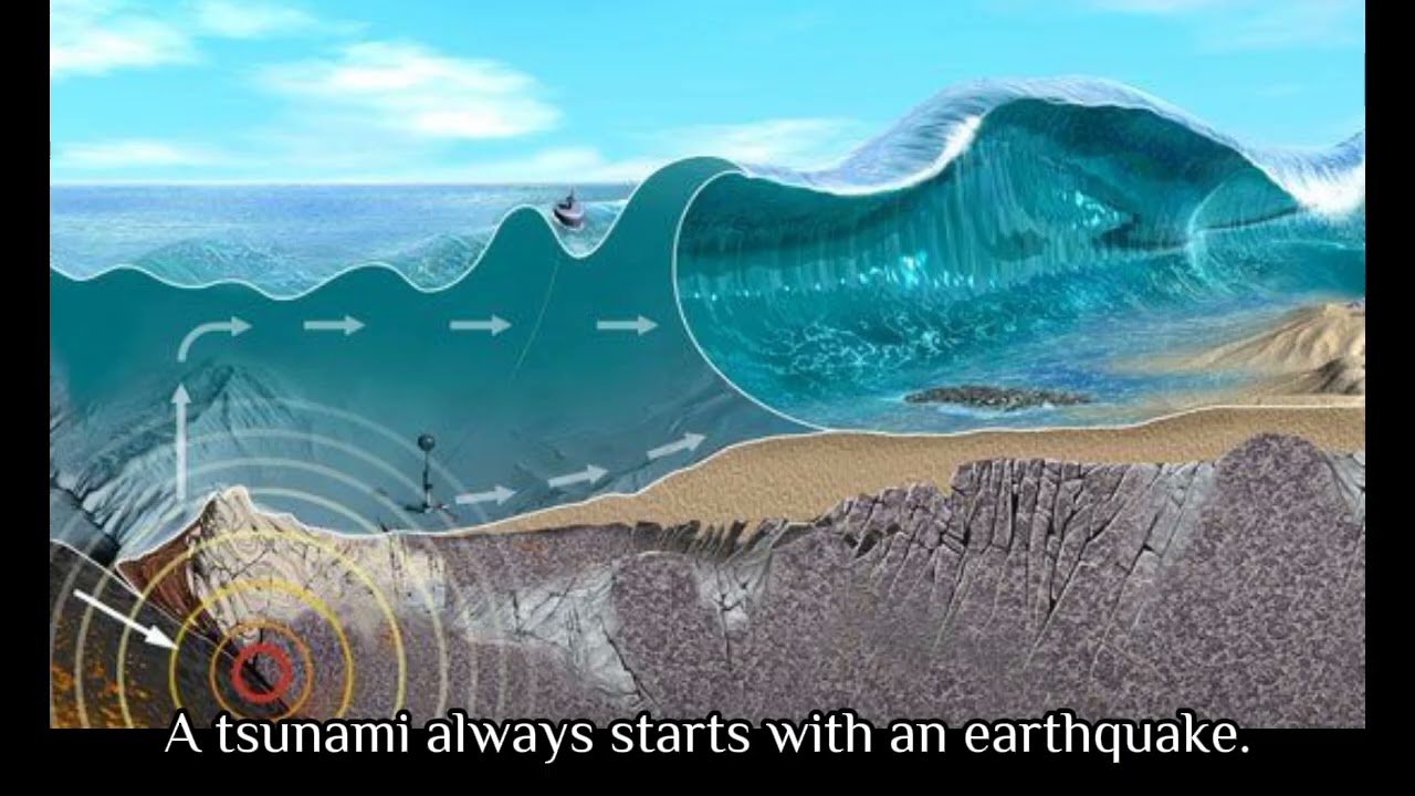 REPORT TEXT - TSUNAMI - YouTube