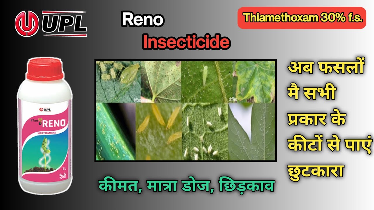 upl reno insecticide | thiamethoxam 30% f.s. | पूरी जानकारी हिंदी में ...