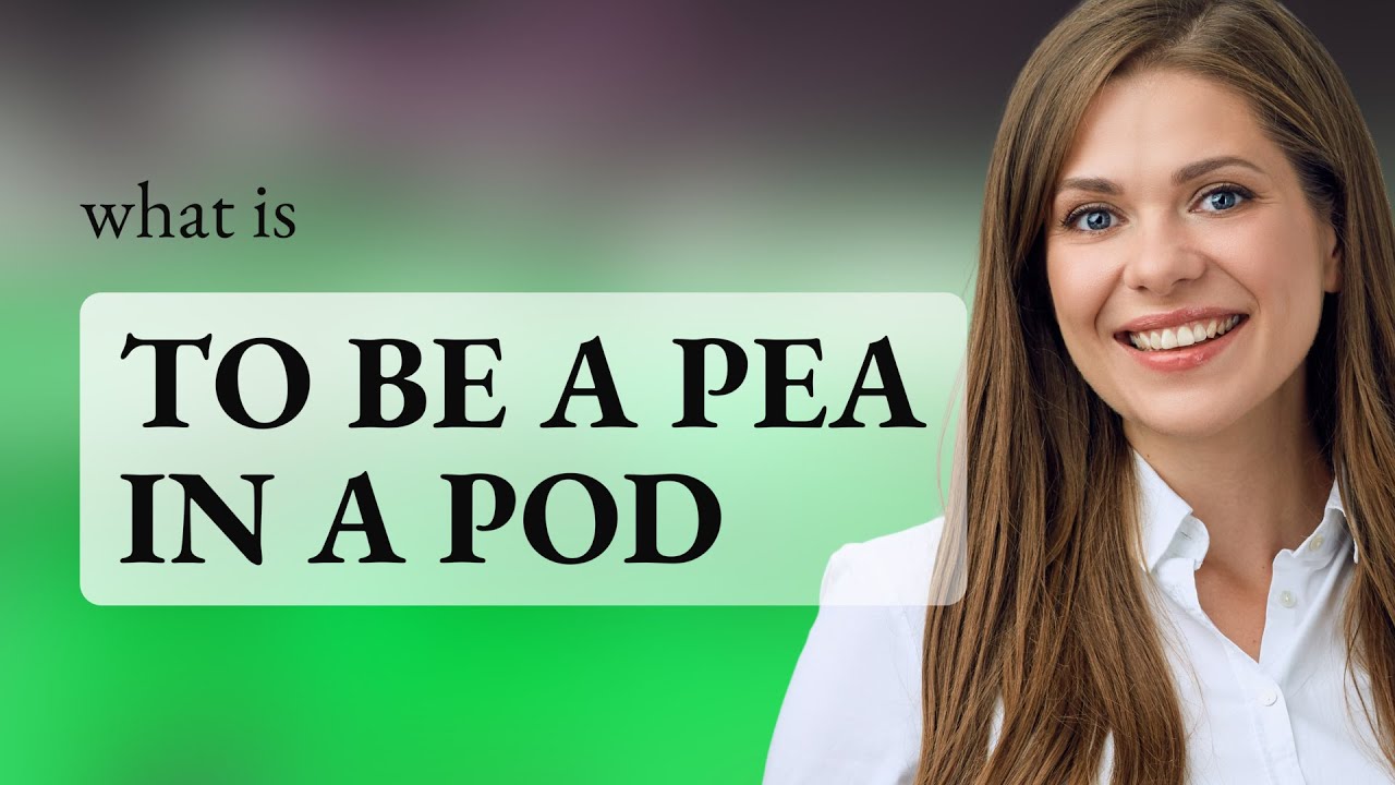 Understanding "Two Peas in a Pod": An English Phrase Explained - YouTube