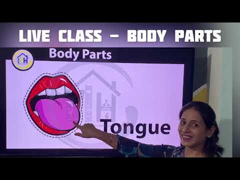 Body parts video for kindergarten & Preschoolers | Online classes for ...
