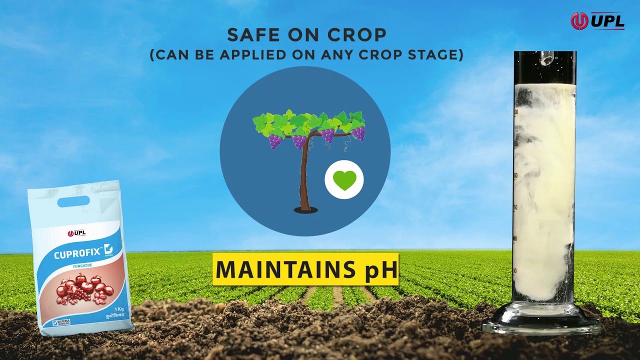 Cuprofix Disperss | UPL Products | Farmers' First Choice | UPL - YouTube
