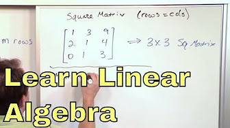 Linear Algebra - Vol 1 - YouTube