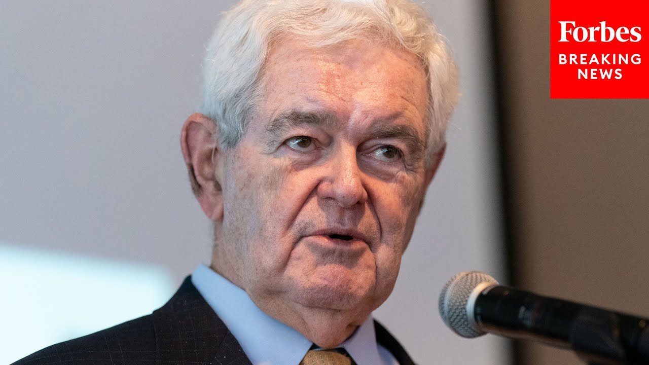 Newt Gingrich Praises Question From Democratic Lawmaker - YouTube