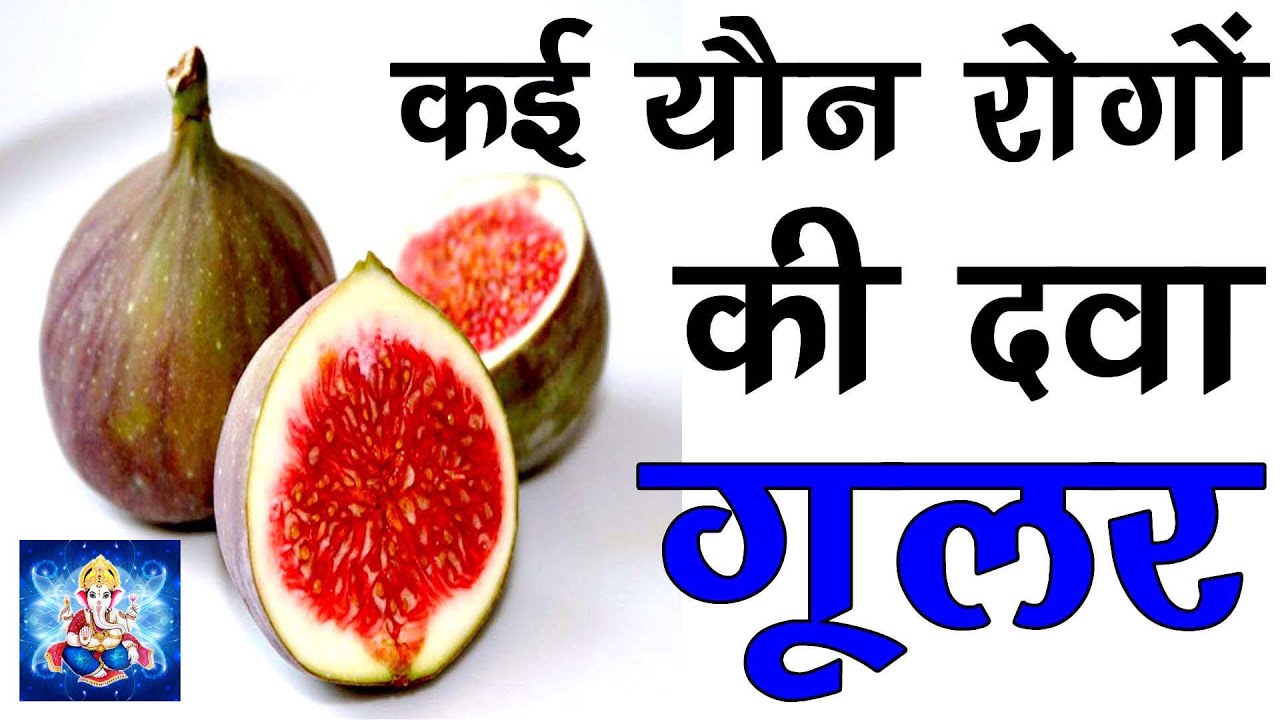 गूलर के चमत्कारी फायदे, उड़न छू होगी कमजोरी | gular ke fal ke fayde ...