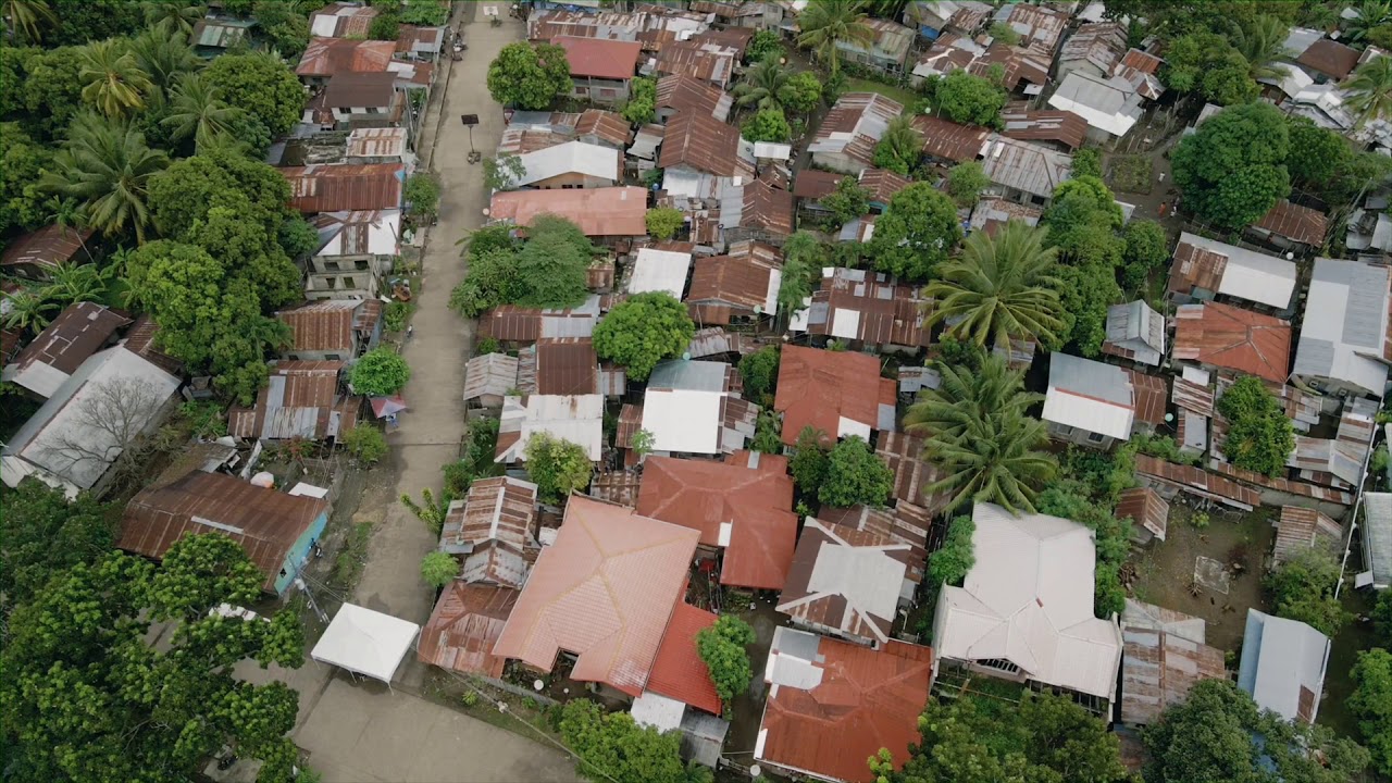 Aerial fiotage of Purok Mauswagon, Sitio Ruyo, Barangay Suba, Calatrava ...