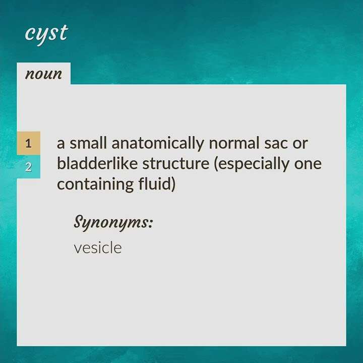 Cyst Meaning Of Cyst YouTube cyst-meaning-of-cyst-youtube