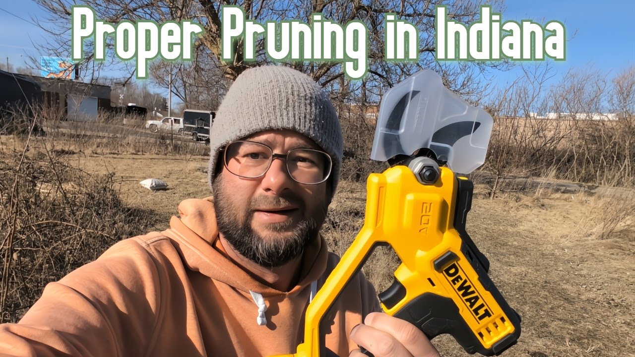 1st Proper Pruning Video of the Year - YouTube