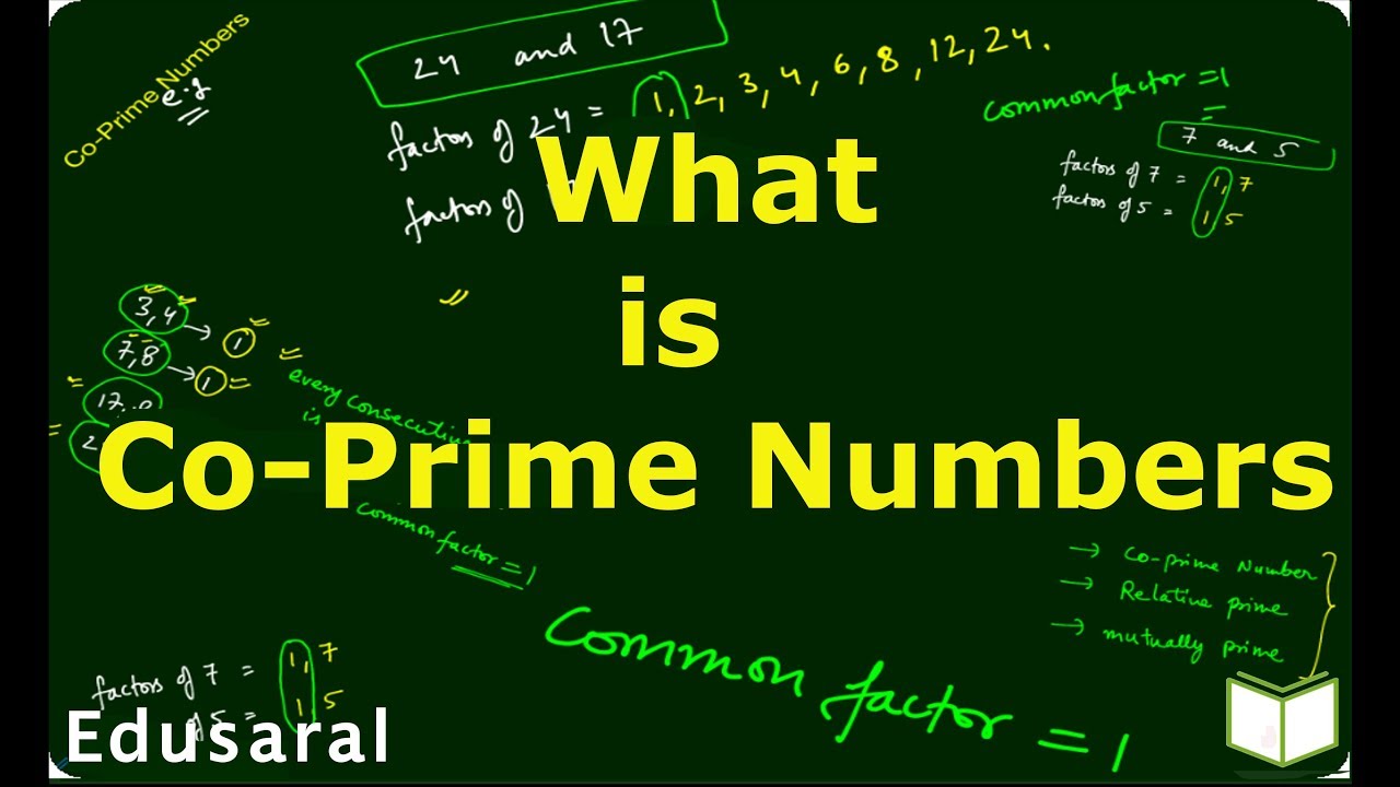 What Is Co prime Numbers Playing With Numbers Ch 3 3k 6th Std