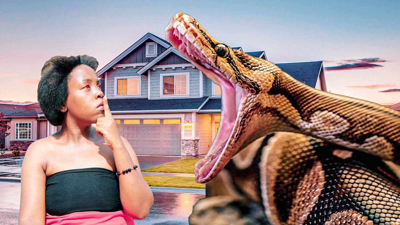 DADA WA KAZI NYOKA 💞 SNAKE HOUSE GIRL PART 6 - YouTube