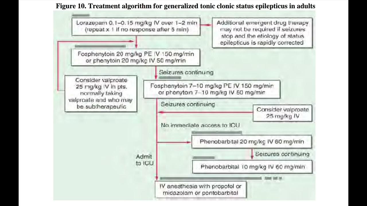 Treatment Algorithm for GTC Status Epilepticus in Adults | MBBS ...