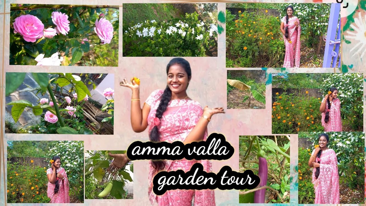 amma valla intlo chetlu😍#mygardentour#navya# - YouTube