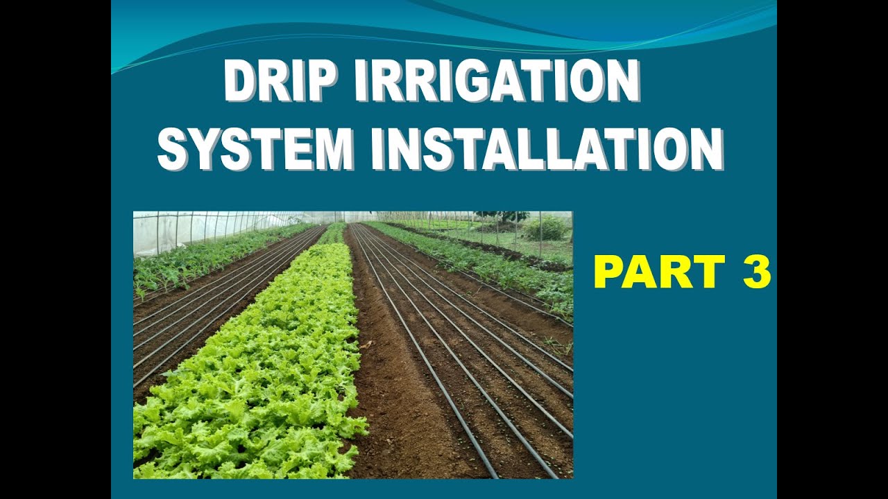HOW TO SET UP A DRIP IRRIGATION SYSTEM SEMINAR Part 3/3 - YouTube
