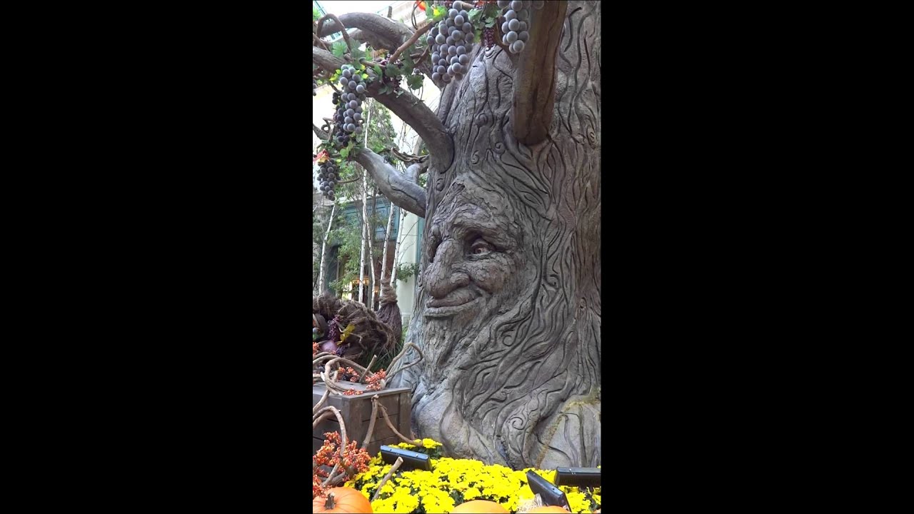 Bellagio Garden Talking Tree Las Vegas - YouTube
